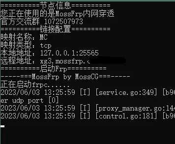 Minecraft 联机教程 -- FRP 篇 - 哔哩哔哩
