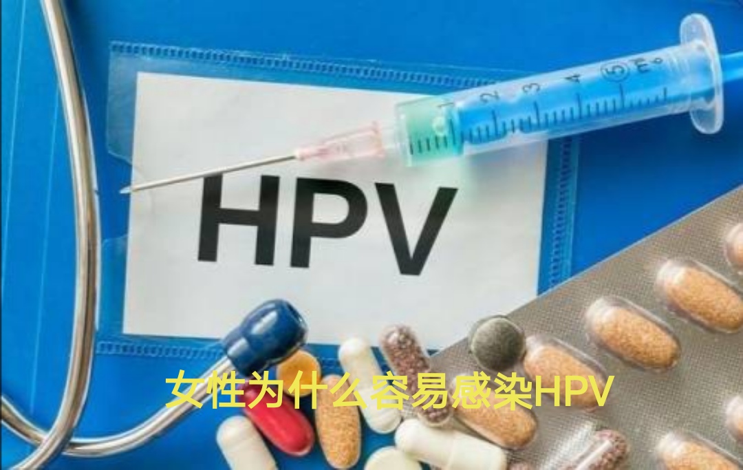 Hpv转阴的方法是哪些,做好这几件事就可以了 哔哩哔哩
