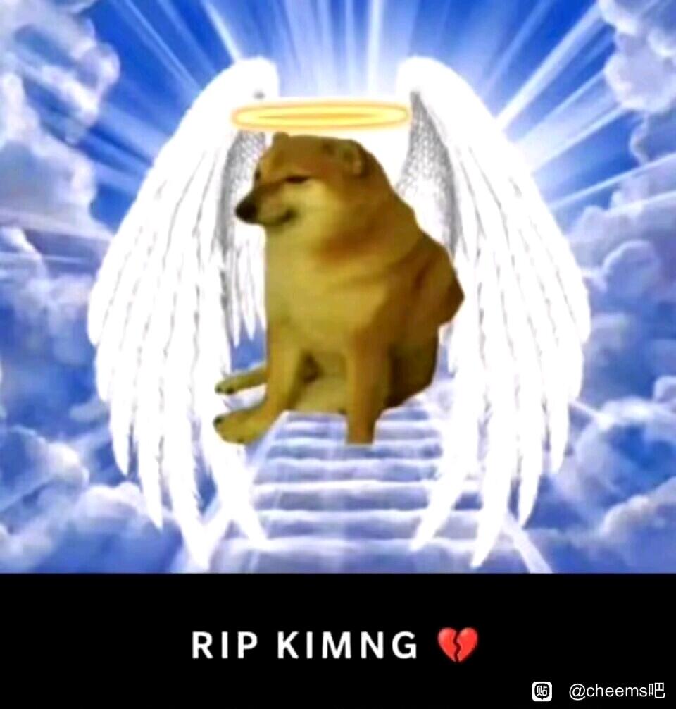 再见了，cheems - 哔哩哔哩