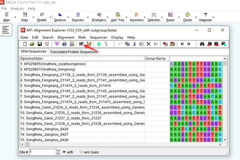 iqtree基于ML法建立系统发育树的步骤 - 哔哩哔哩