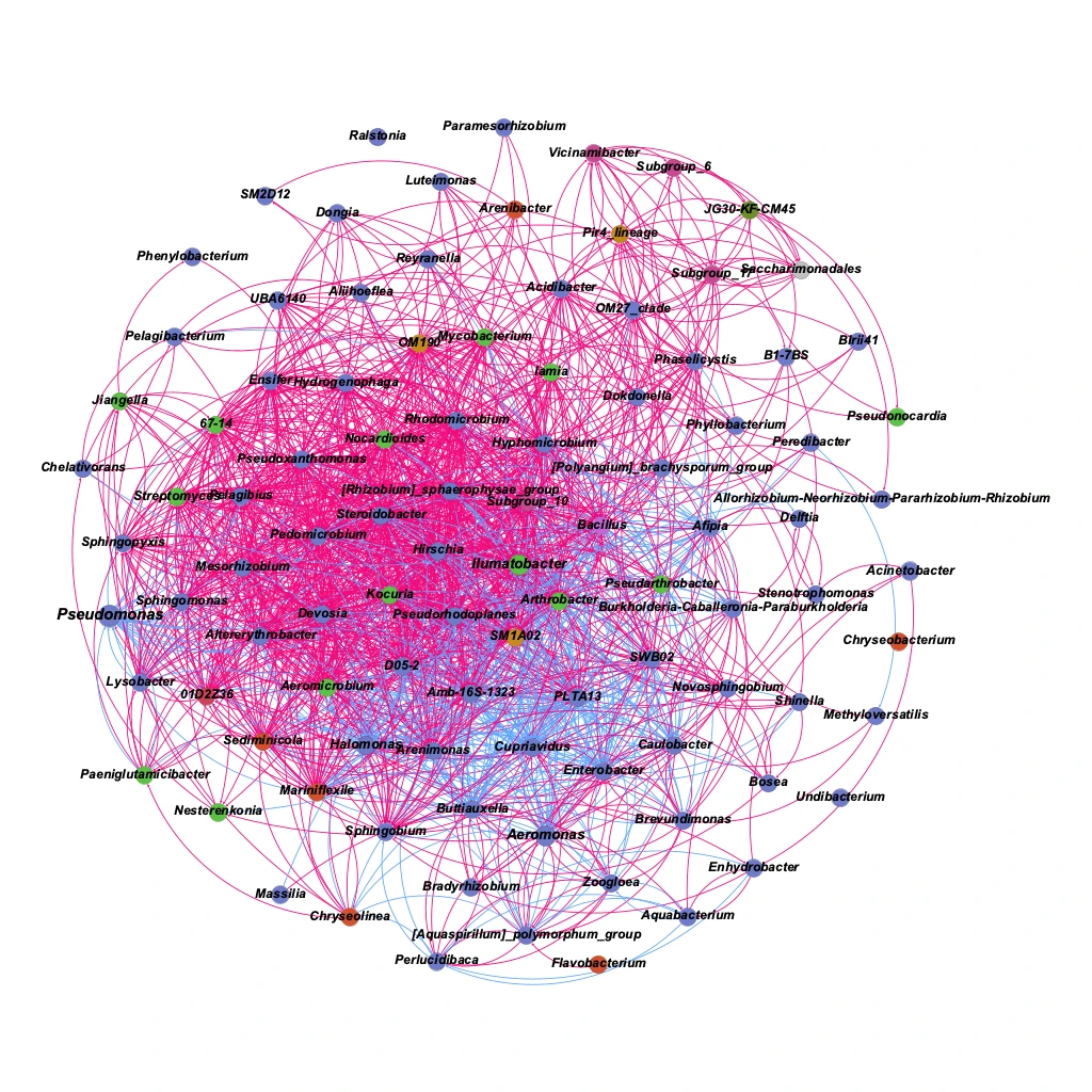 一键绘制微生物关联网共现图 - 哔哩哔哩