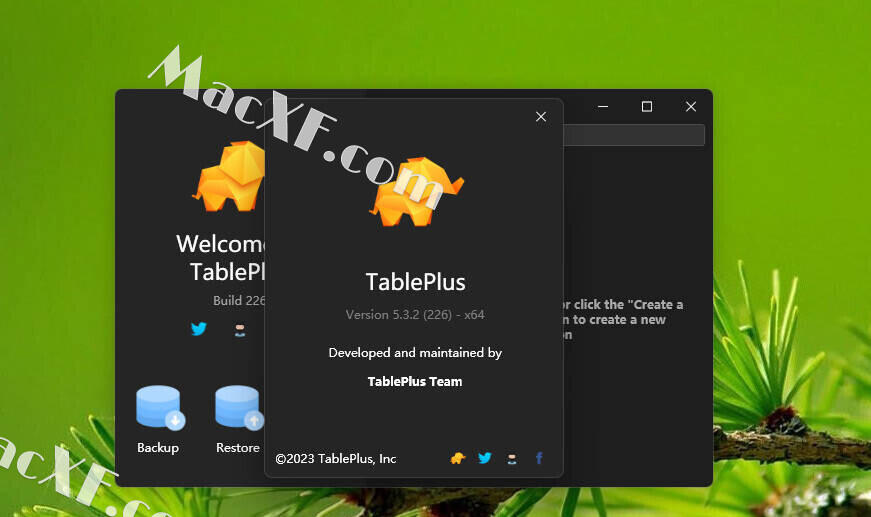 TablePlus(数据库管理工具)mac/win - 哔哩哔哩