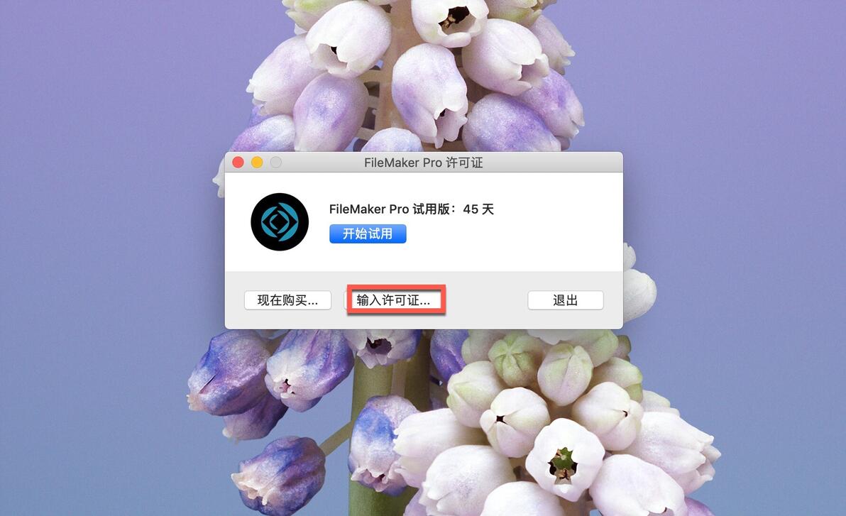 FileMaker Pro 19 for mac (定制化App开发软件)v19.3.1.42激活版 - 哔哩哔哩
