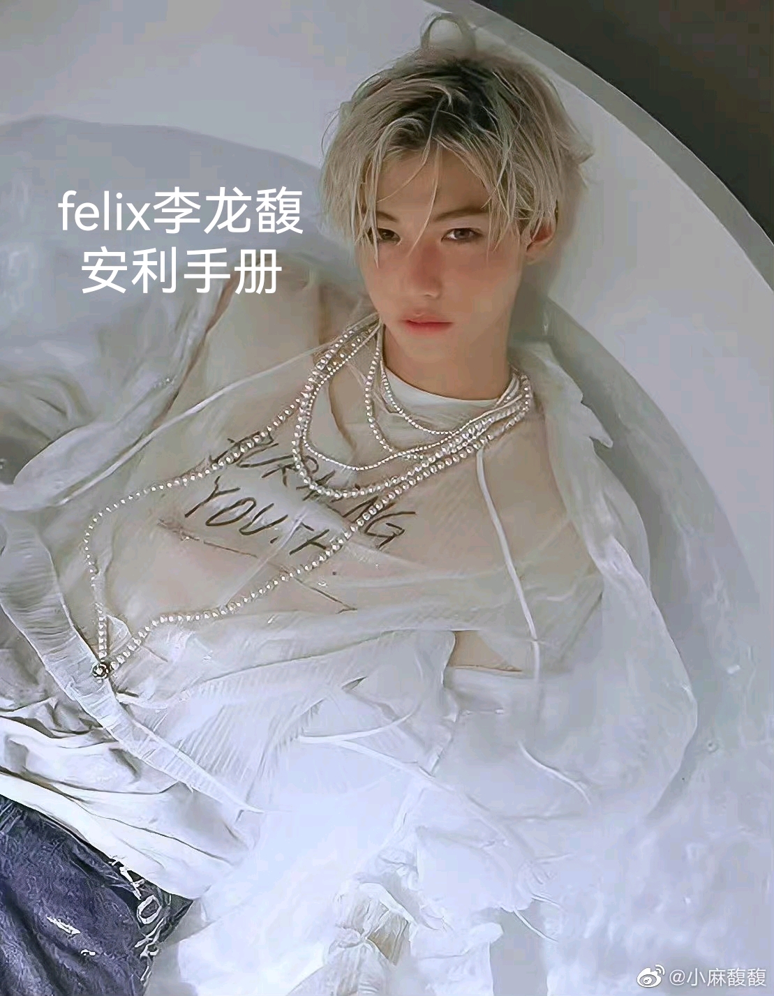 Felix李龙馥安利手册 - 哔哩哔哩