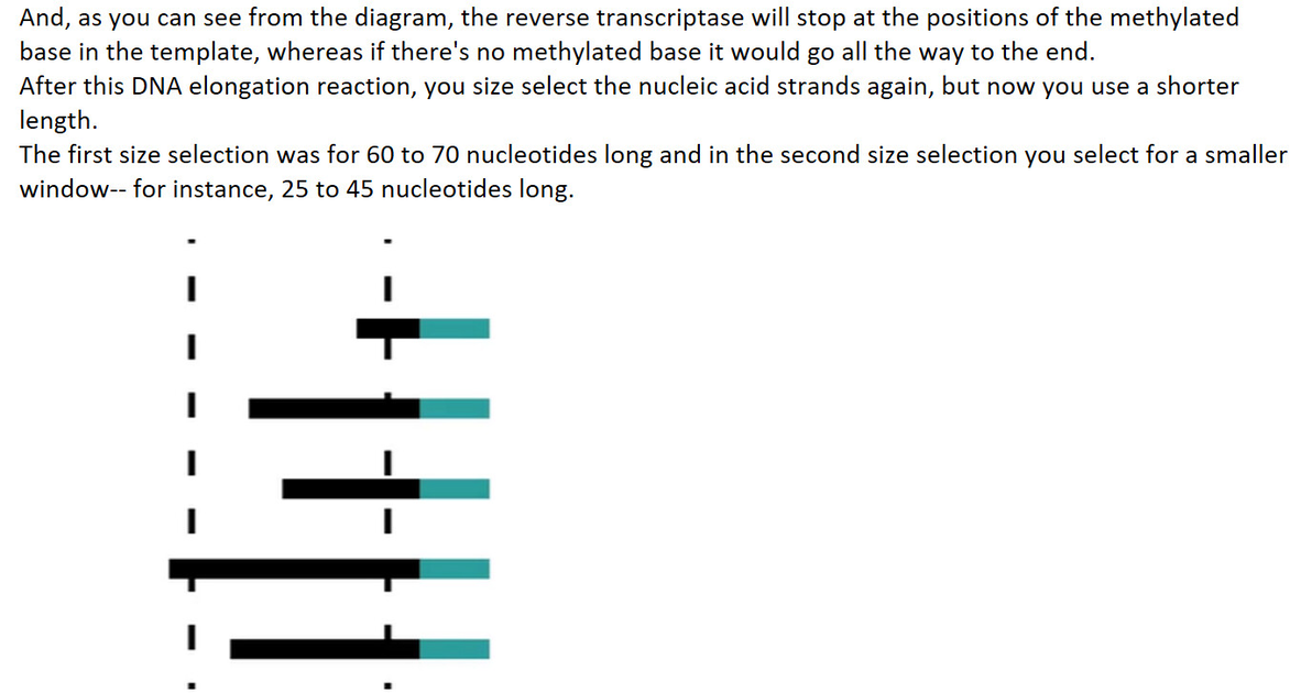 MIT 分子生物学 part3 5.7 Assays for RNA Structure,DMS-seq and SHAPE-s - 哔哩哔哩