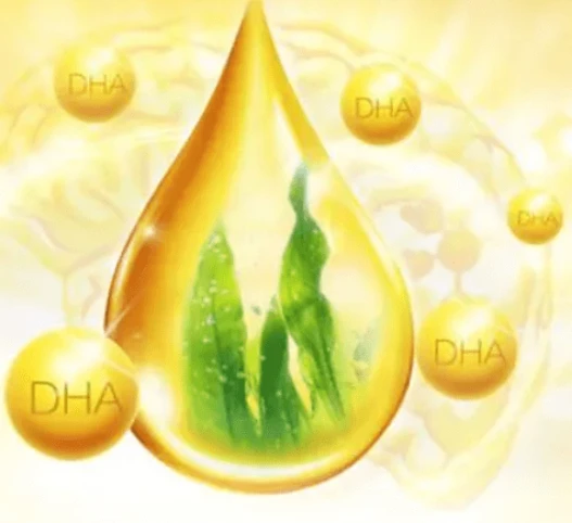 DHA藻油排名 DHA功效揭秘 埃森美DHA - 哔哩哔哩