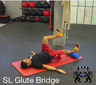 FMS功能筛查：上踏步（Hurdle Step） - 哔哩哔哩