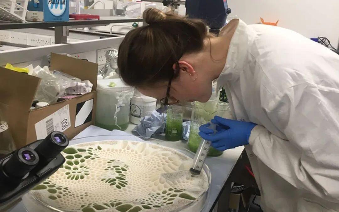 CY TALKS | CSM BIO DESIGN 生物设计—为真实的世界做设计（上） - 哔哩哔哩