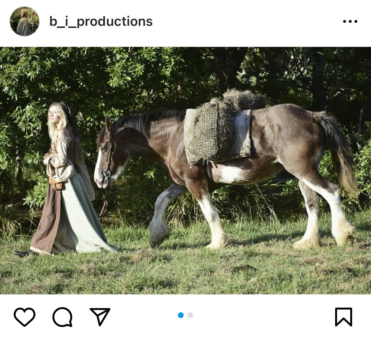 中世纪的马儿们到底长什么样（图片皆收集于ins） - 哔哩哔哩