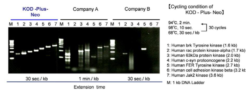 KOD-Plus-Neo产品说明书 - 哔哩哔哩