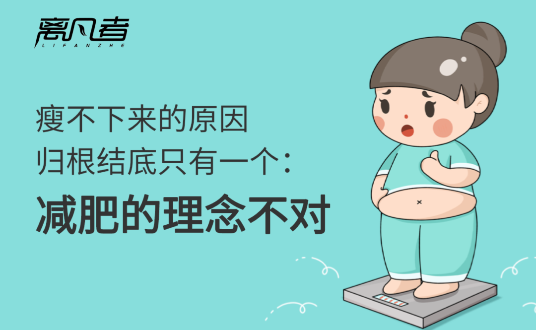 总瘦不下来的原因，其实只有一个 哔哩哔哩