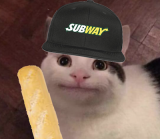 Beluga和小伙伴们的头像 - 哔哩哔哩