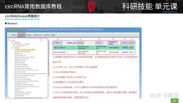 最全最细致的circRNA数据库使用指南，学完秒变circRNA研究达人 - 哔哩哔哩