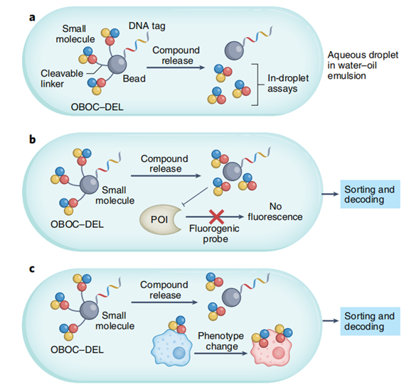 Nat.Chem | 万物皆可筛：DNA编码化合物库超乎你想象 - 哔哩哔哩