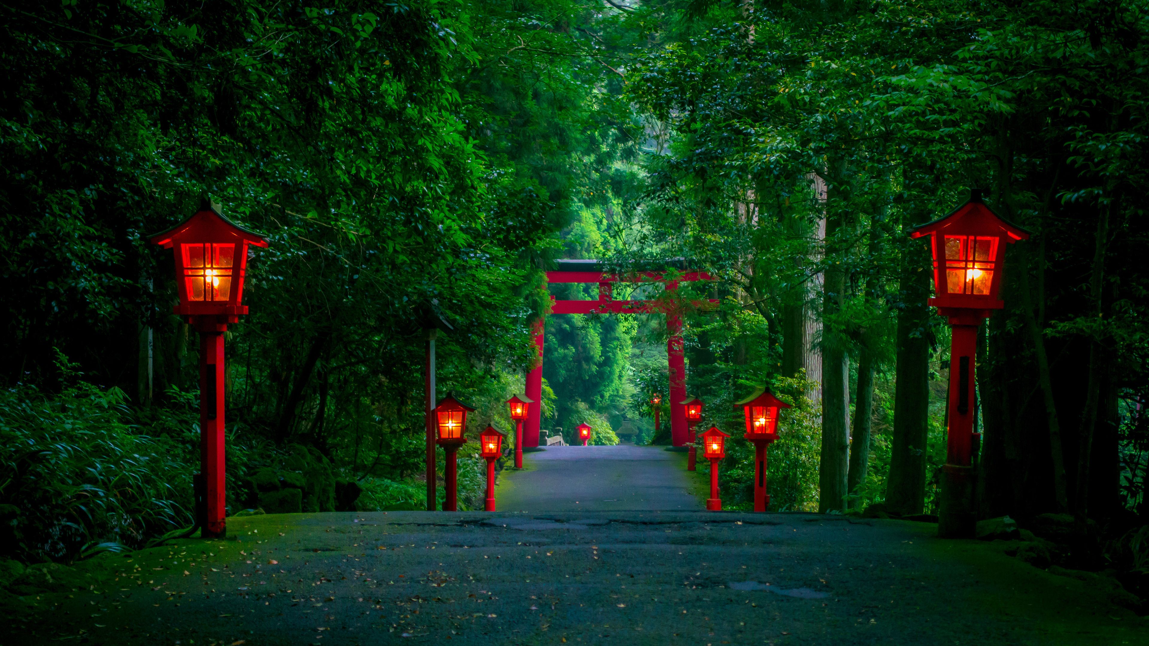 Windows聚焦和Bing壁纸（51） - 哔哩哔哩