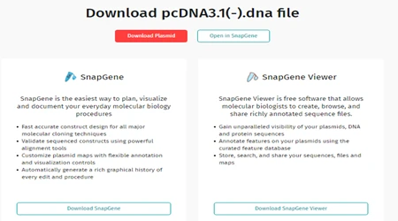 Snapgene|如何获取质粒载体的图谱和序列 - 哔哩哔哩
