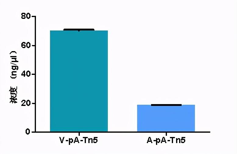 干货 | CUT&Tag核心酶Hyperactive PA/PG-Tn5 Transposase大解密 - 哔哩哔哩