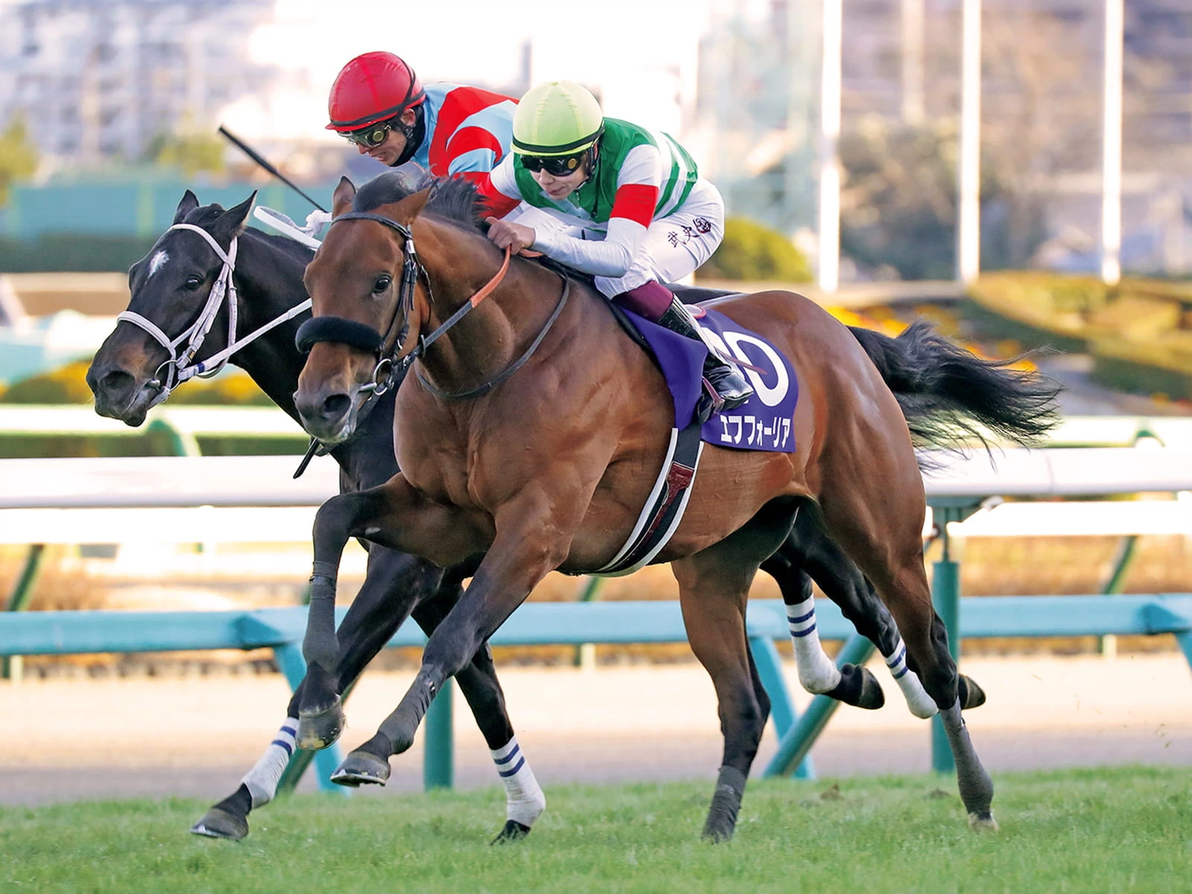 【全图鉴】日本JRA年度代表马（1954-2022） - 哔哩哔哩