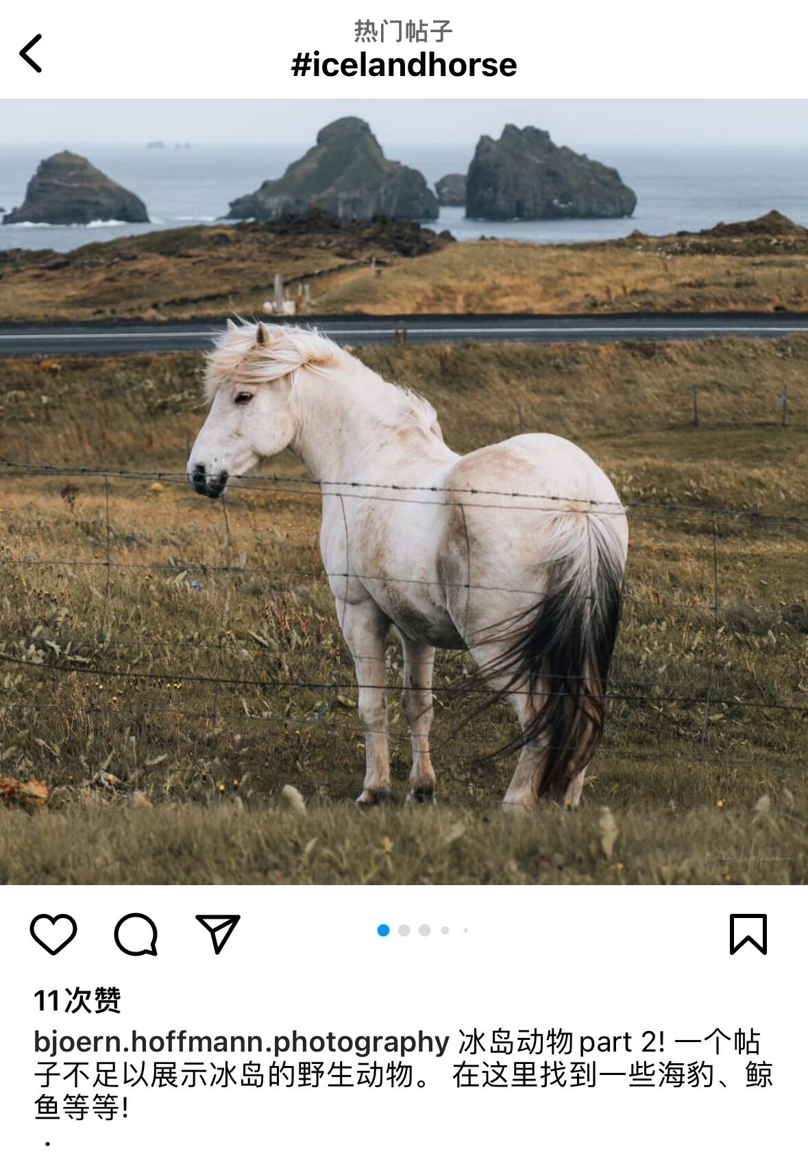 中世纪的马儿们到底长什么样（图片皆收集于ins） - 哔哩哔哩