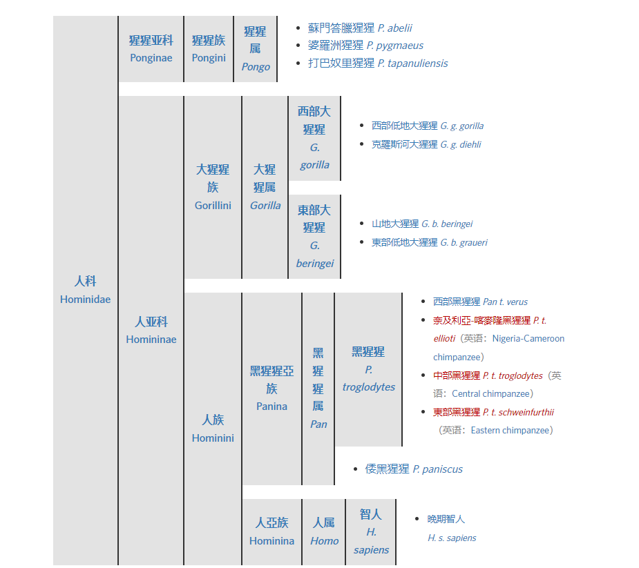 从南方古猿到晚期智人,人类是怎么进化而来的 哔哩哔哩