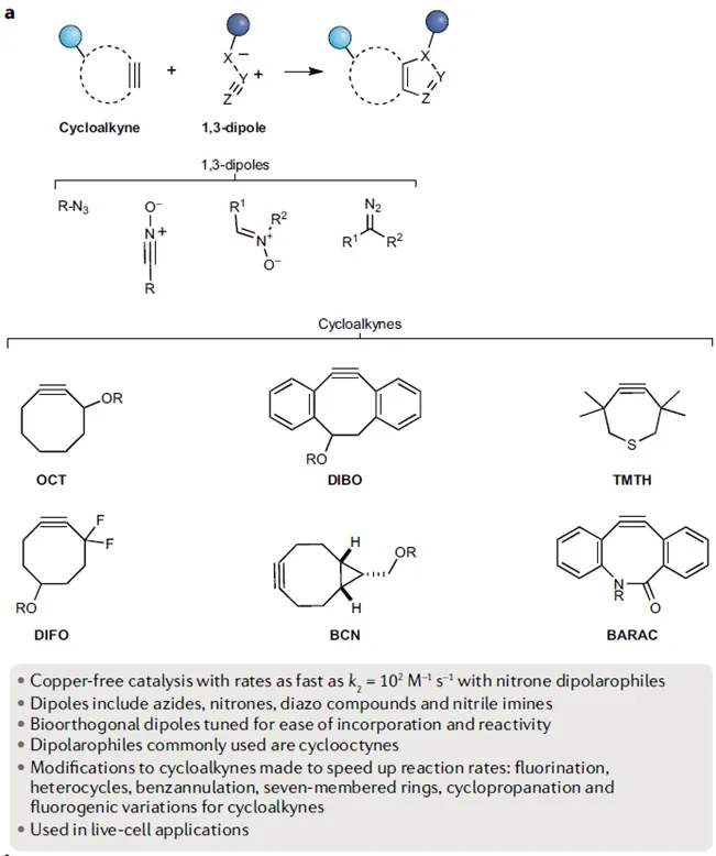 诺奖生物正交反应的原理及应用 - 哔哩哔哩