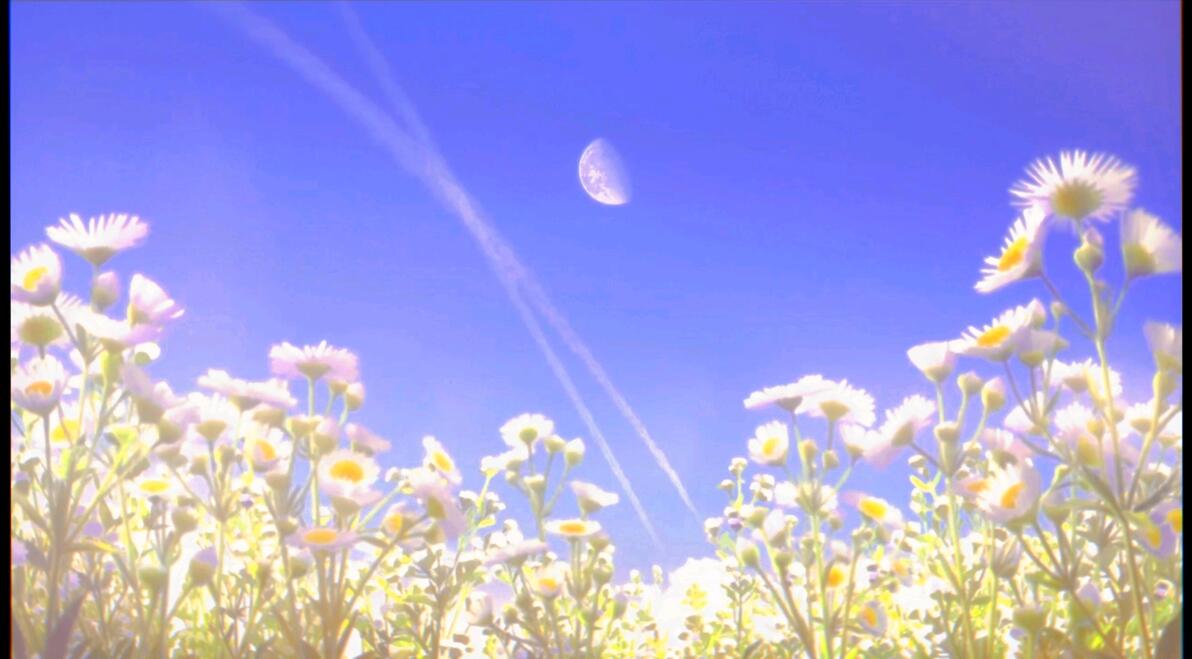 《Hello World》壁纸一百张 - 哔哩哔哩