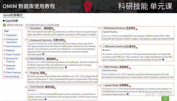 OMIM数据库使用教程——全面且权威的基因与遗传表型概要的数据库 ! - 哔哩哔哩