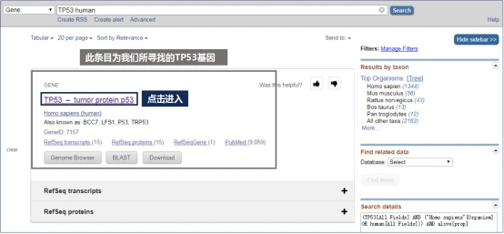 Primer Premier 6，3分钟教你完成引物设计（含软件安装） - 哔哩哔哩
