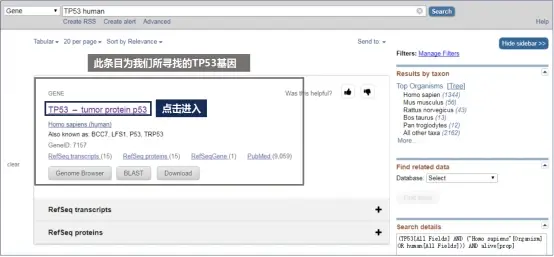 Primer Premier 6，3分钟教你完成引物设计（含软件安装） - 哔哩哔哩