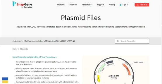 Snapgene|如何获取质粒载体的图谱和序列 - 哔哩哔哩