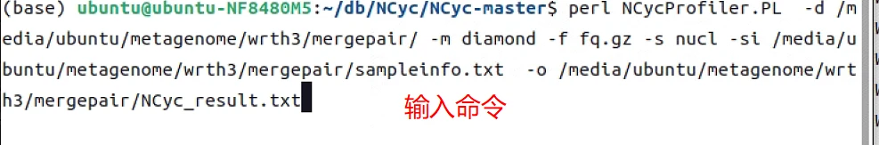 NCycDB使用流程笔记 - 哔哩哔哩
