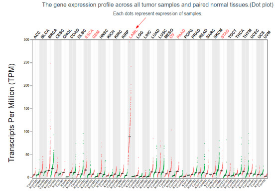 TCGA分析的数据库——GEPIA数据库的使用教程！/SCI论文/科研/研究生/生信分析热点思路 - 哔哩哔哩