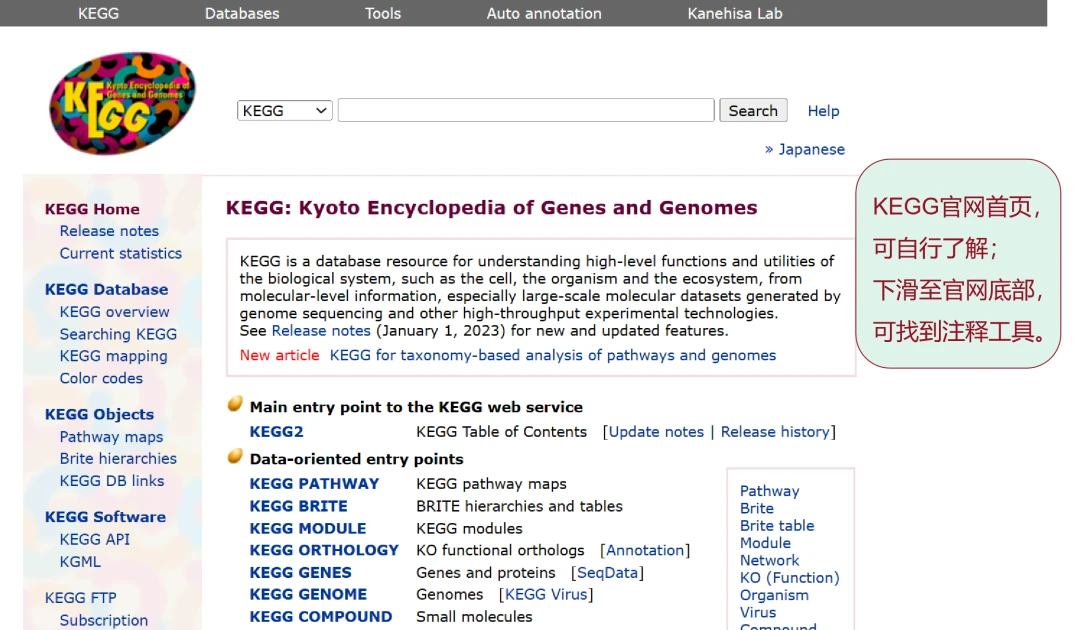 做完蛋白质谱后的KEGG、GO分析 - 哔哩哔哩