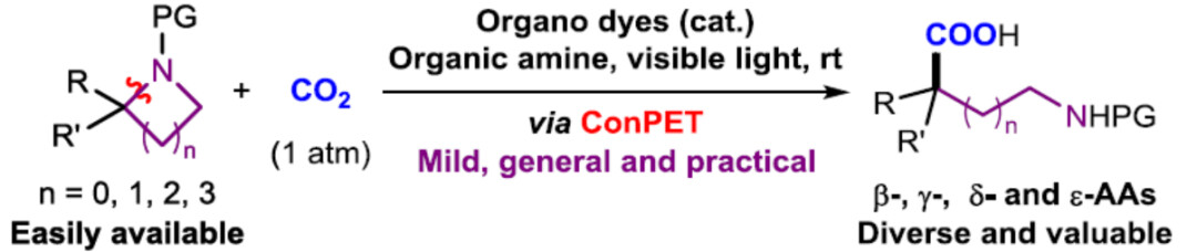 Angew：四川大学余达刚与叶剑衡课题组可见光催化CO2参与的环胺化合物C-N键羧基化反应 - 哔哩哔哩