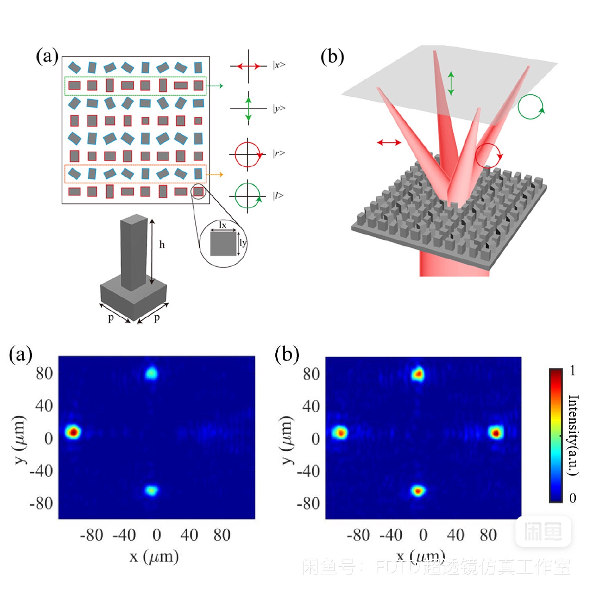 超透镜案例仿真（6）——偏振聚集成像 超构透镜模型 FDTD仿真 超表面 - 哔哩哔哩