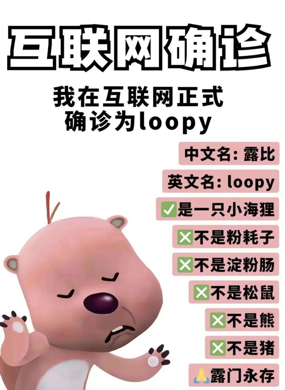 因打工人标签爆火？！这只粉色海狸Loopy为什么可以成为IP新顶流？ - 哔哩哔哩