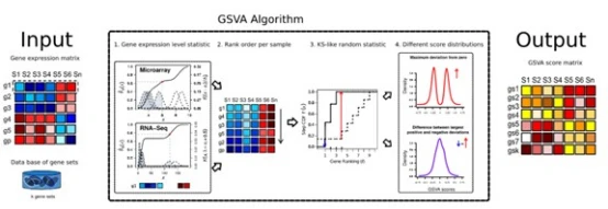 GSEA与GSVA傻傻分不清楚？一文帮你搞定!/SCI论文/科研/研究生/生信分析热点思路 - 哔哩哔哩