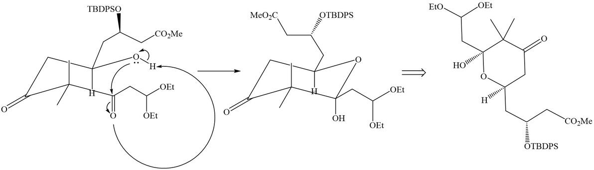 苔藓抑素1(Bryostatin 1)克级全合成以及机理分析-1-ef-永不消逝的悠久之翼 - 哔哩哔哩