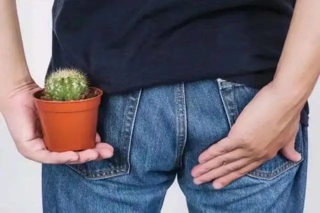 健康科普：痔疮的最佳治疗方法？ 哔哩哔哩