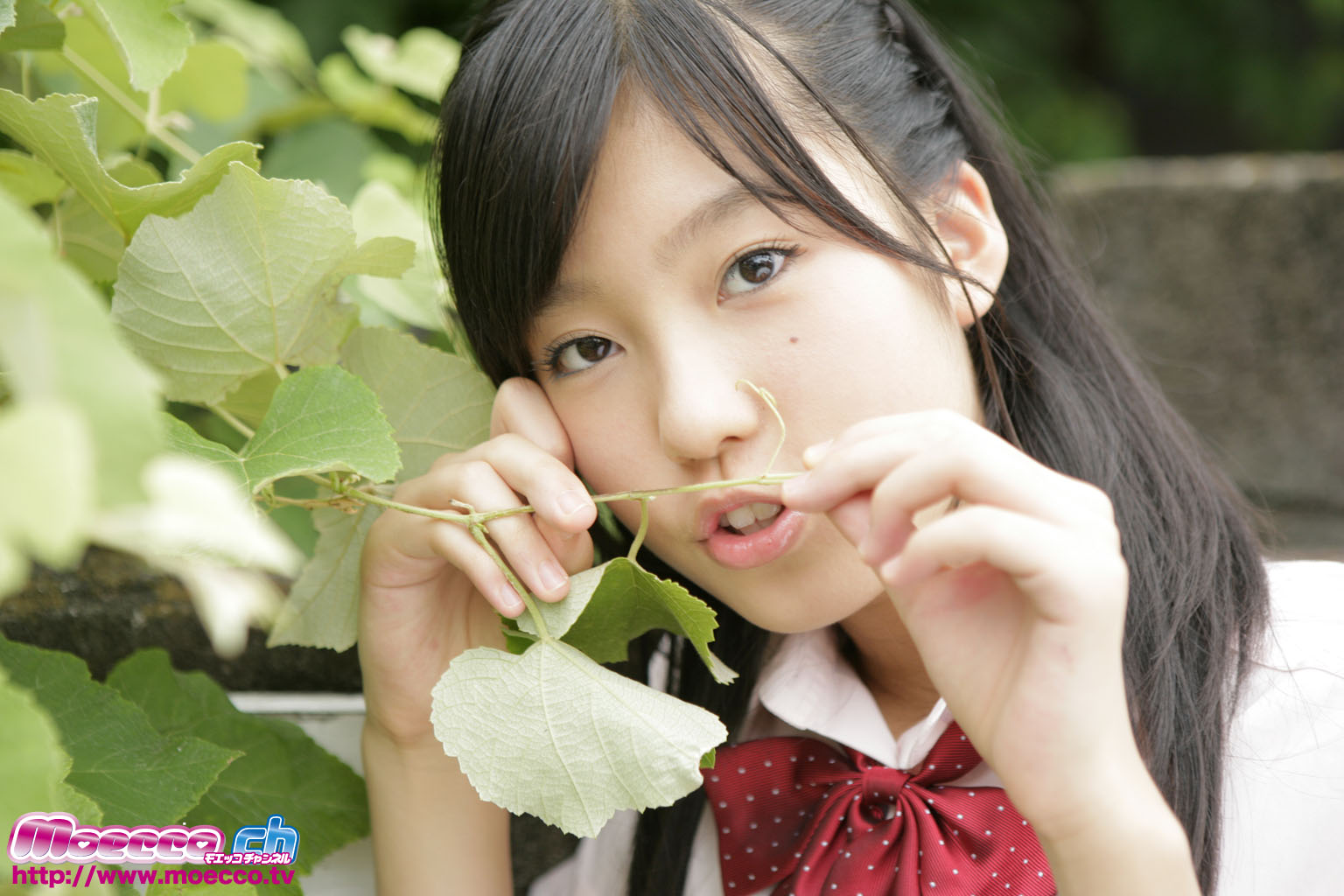 百瀬エナ Ena Momose - 哔哩哔哩