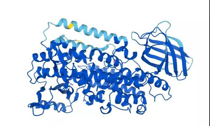 【每周一鼠】强大的脂质代加工——Alox15 - 哔哩哔哩