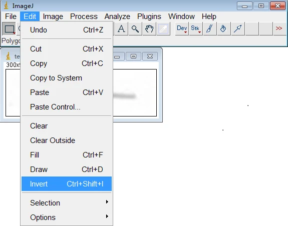 ImageJ惊艳登场！分分钟搞定WB条带灰度分析（内含免费软件包） - 哔哩哔哩