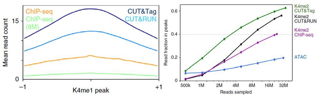 告别ChIP-Seq的折磨：CUT&Tag技术详解 - 哔哩哔哩