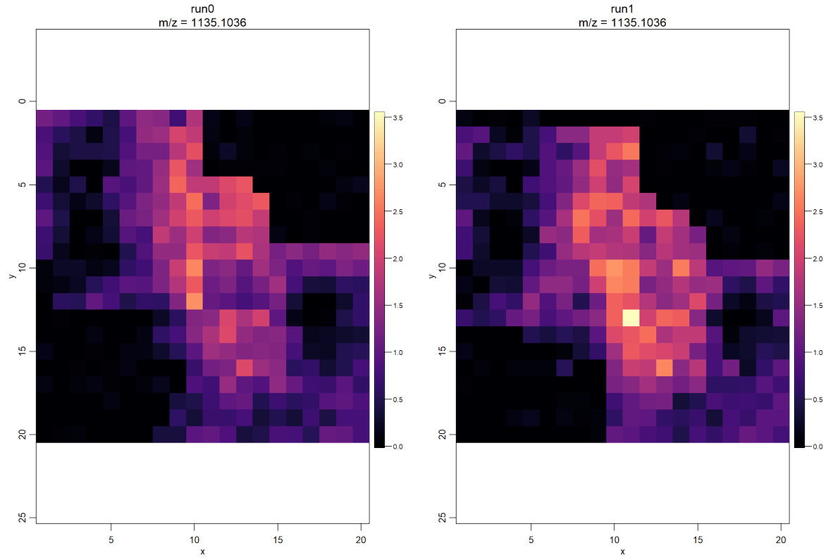 空间代谢组数据处理之Cardinal包的教程 - 哔哩哔哩