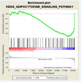 GSEA与GSVA傻傻分不清楚？一文帮你搞定!/SCI论文/科研/研究生/生信分析热点思路 - 哔哩哔哩