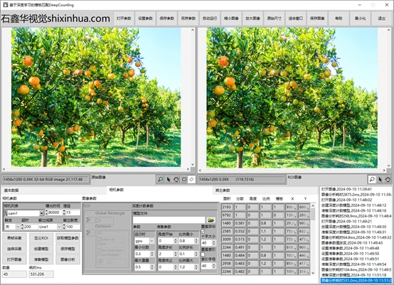 LabVIEW调用Halcon实现深度学习之DeepCounting - 哔哩哔哩