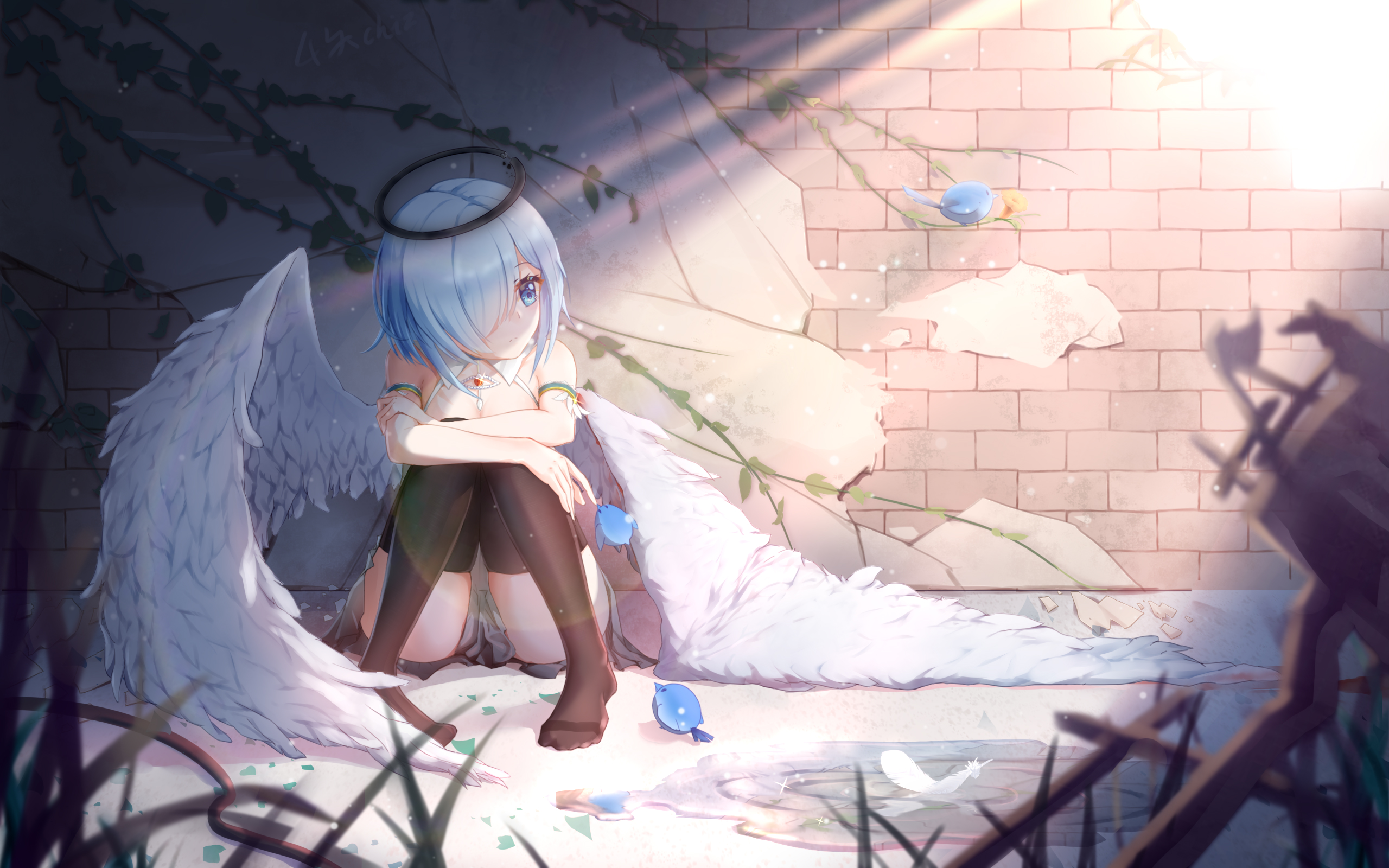【pixiv画师鉴赏】第616期：千夨chia 哔哩哔哩