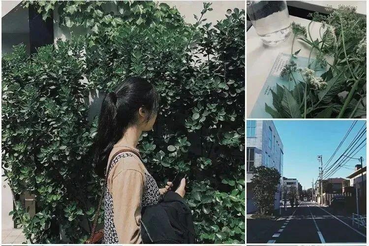 2023升级汉化版，内置676款滤镜，Vsco全滤镜ps插件，支持Win/Mac系统 - 哔哩哔哩