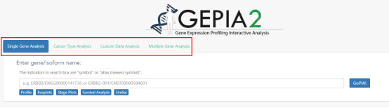 TCGA分析的数据库——GEPIA数据库的使用教程！/SCI论文/科研/研究生/生信分析热点思路 - 哔哩哔哩
