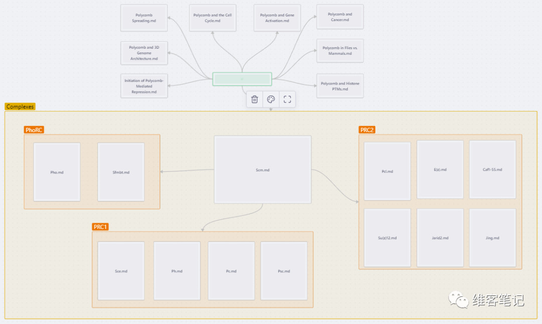 一起来看看大佬们的Obsidian白板（Canvas）使用案例分享 - 哔哩哔哩